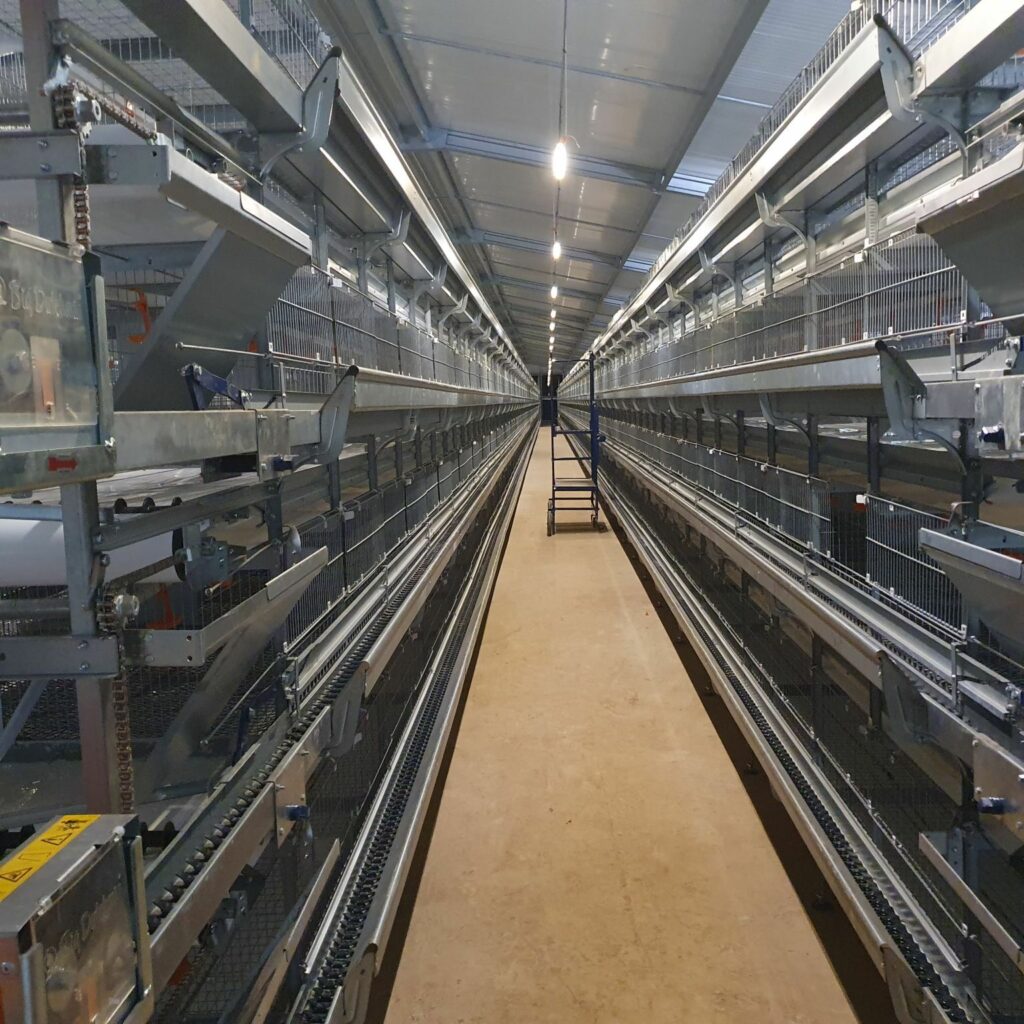 A Major Poultry Achievement in Congo-Brazzaville - SOPRODA