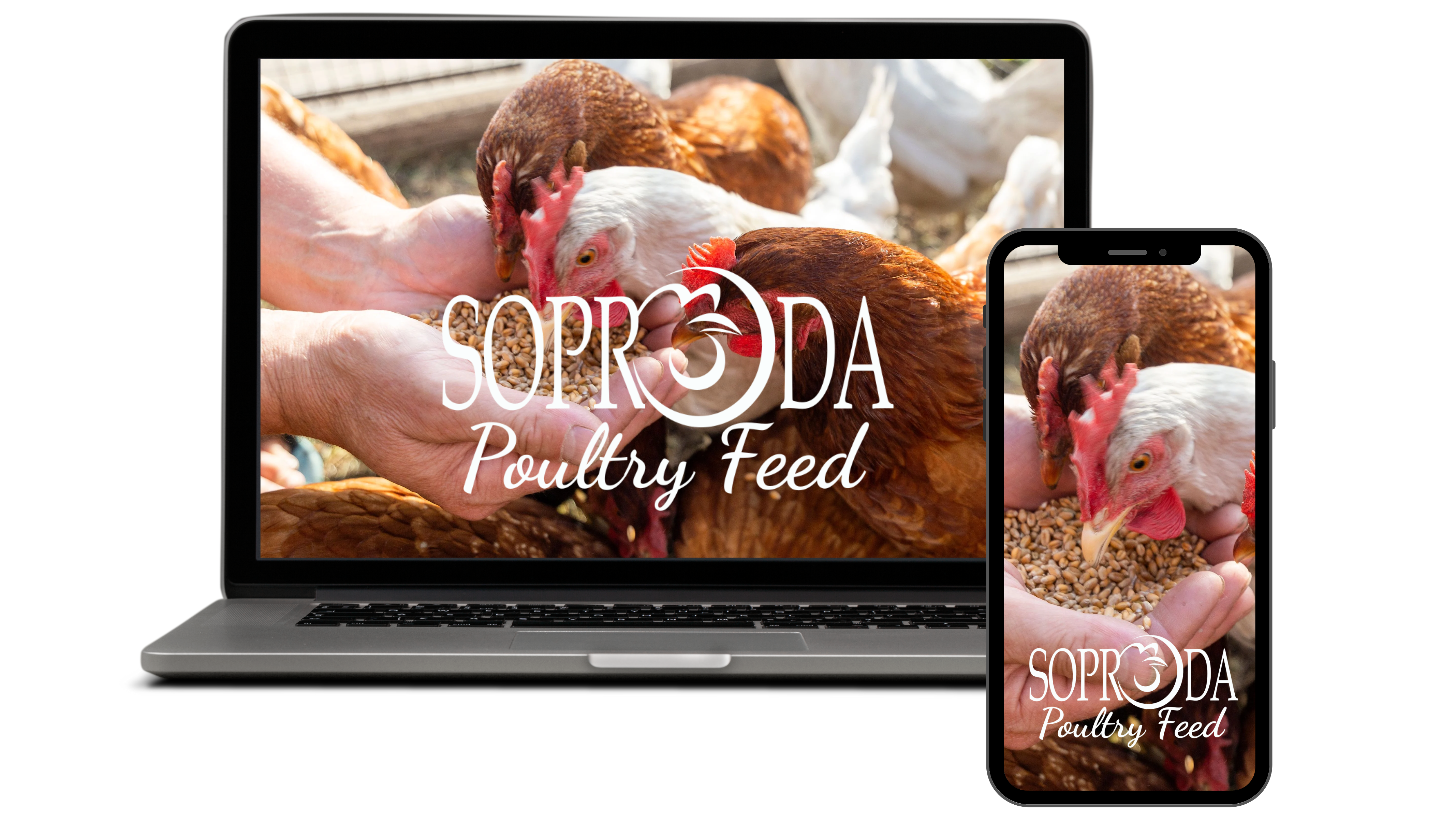 Discover the New Soproda Poultry Feed Website - SOPRODA
